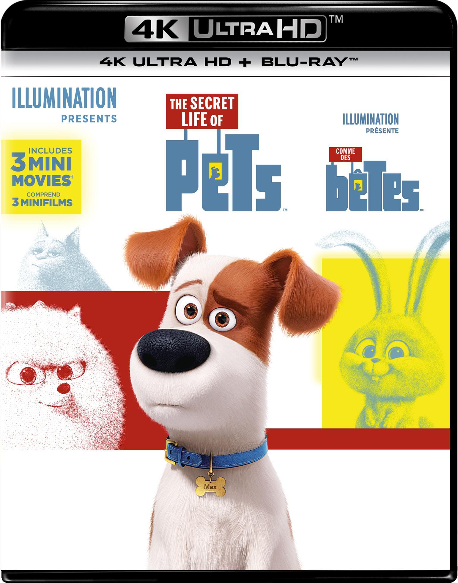 The Secret Life of Pets (4K Ultra HD + Blu-ray) [UHD] – GRUV Canada